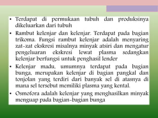 Sekresi | PPTX