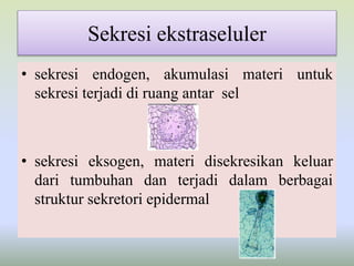 Sekresi | PPTX