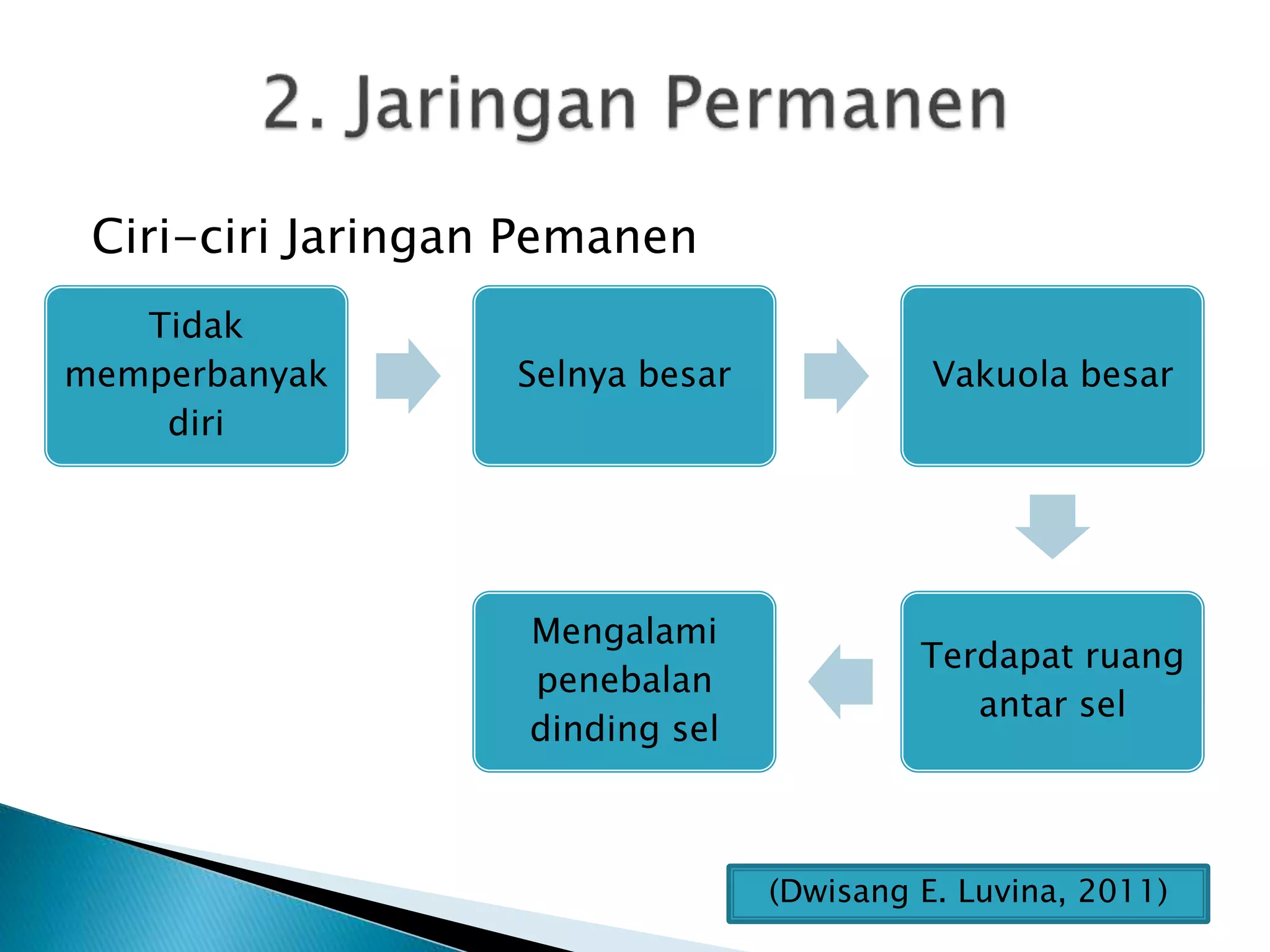 Jaringan sel tumbuhan | PPTX