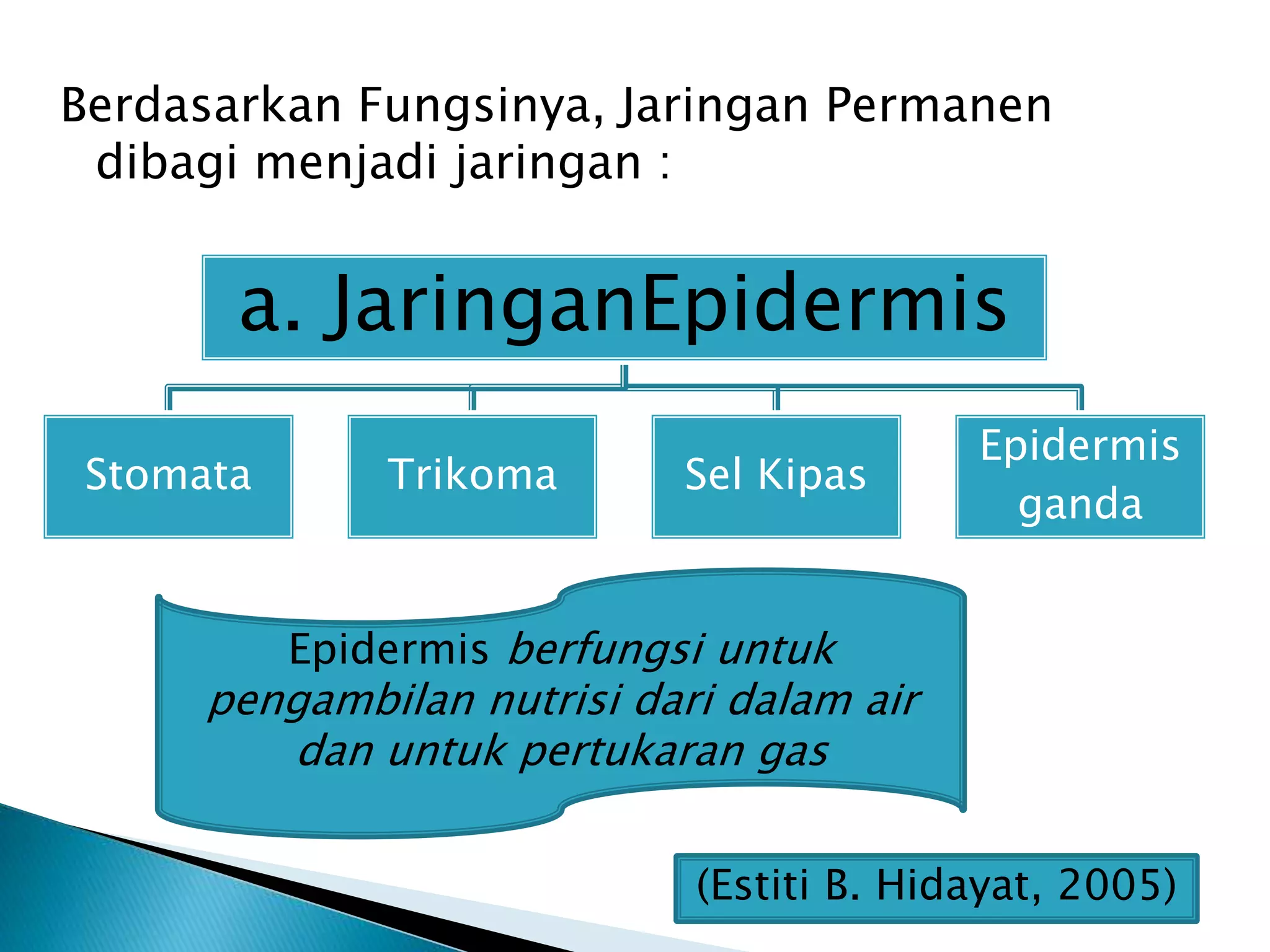 Jaringan sel tumbuhan | PPTX