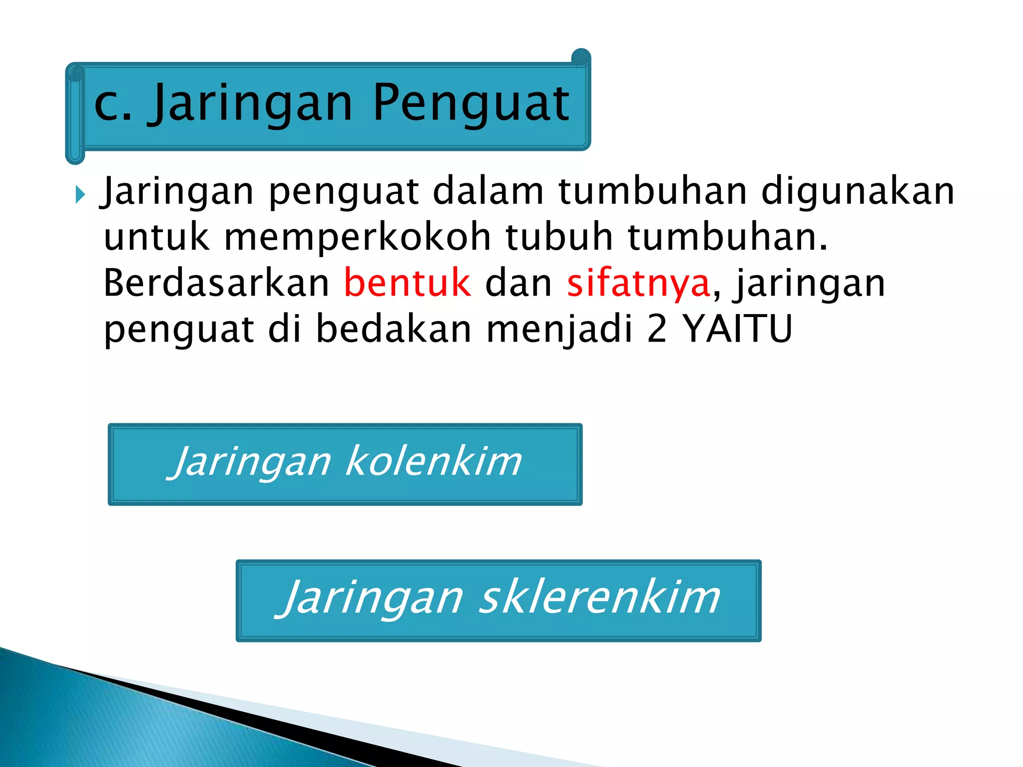 Jaringan sel tumbuhan | PPTX