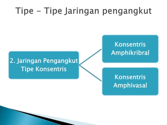 Jaringan sel tumbuhan | PPTX