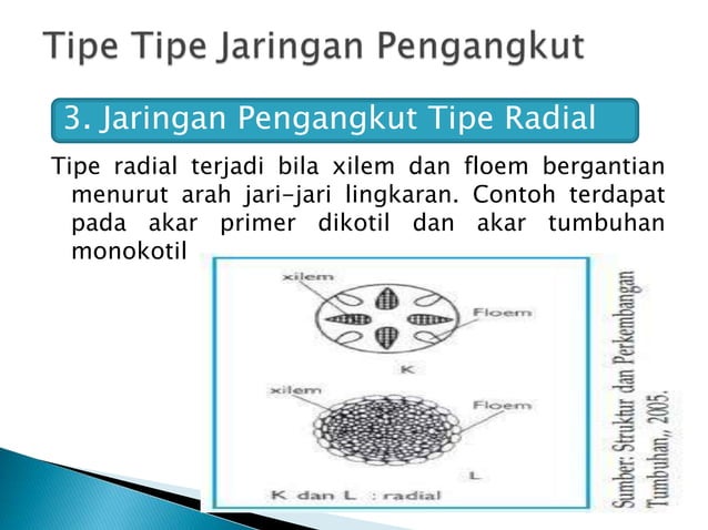 Jaringan sel tumbuhan | PPT