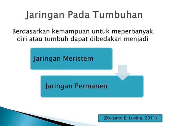 Jaringan sel tumbuhan | PPTX