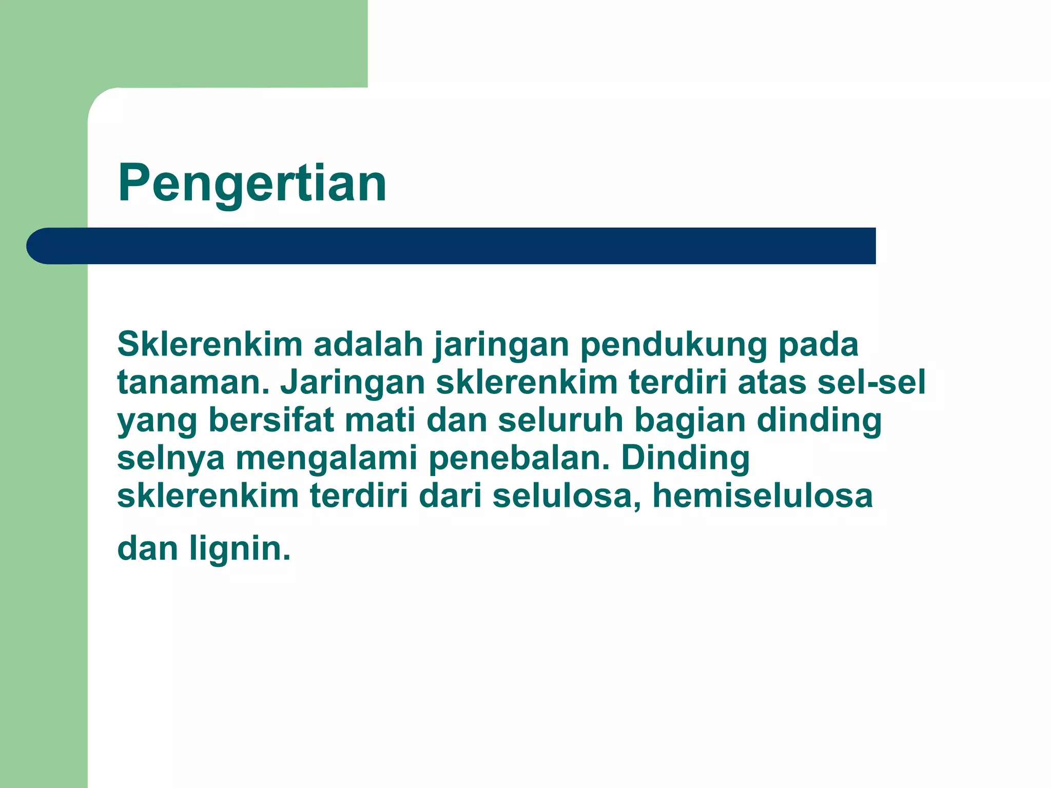 Jaringan sklerenkim | PPTX