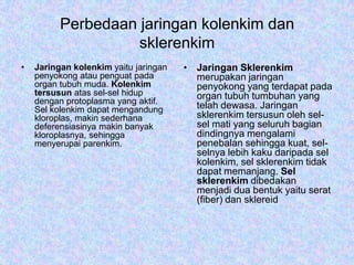 Jaringan sklerenkim | PPTX