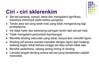 Jaringan sklerenkim | PPTX