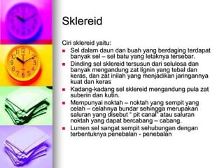 Jaringan sklerenkim | PPTX