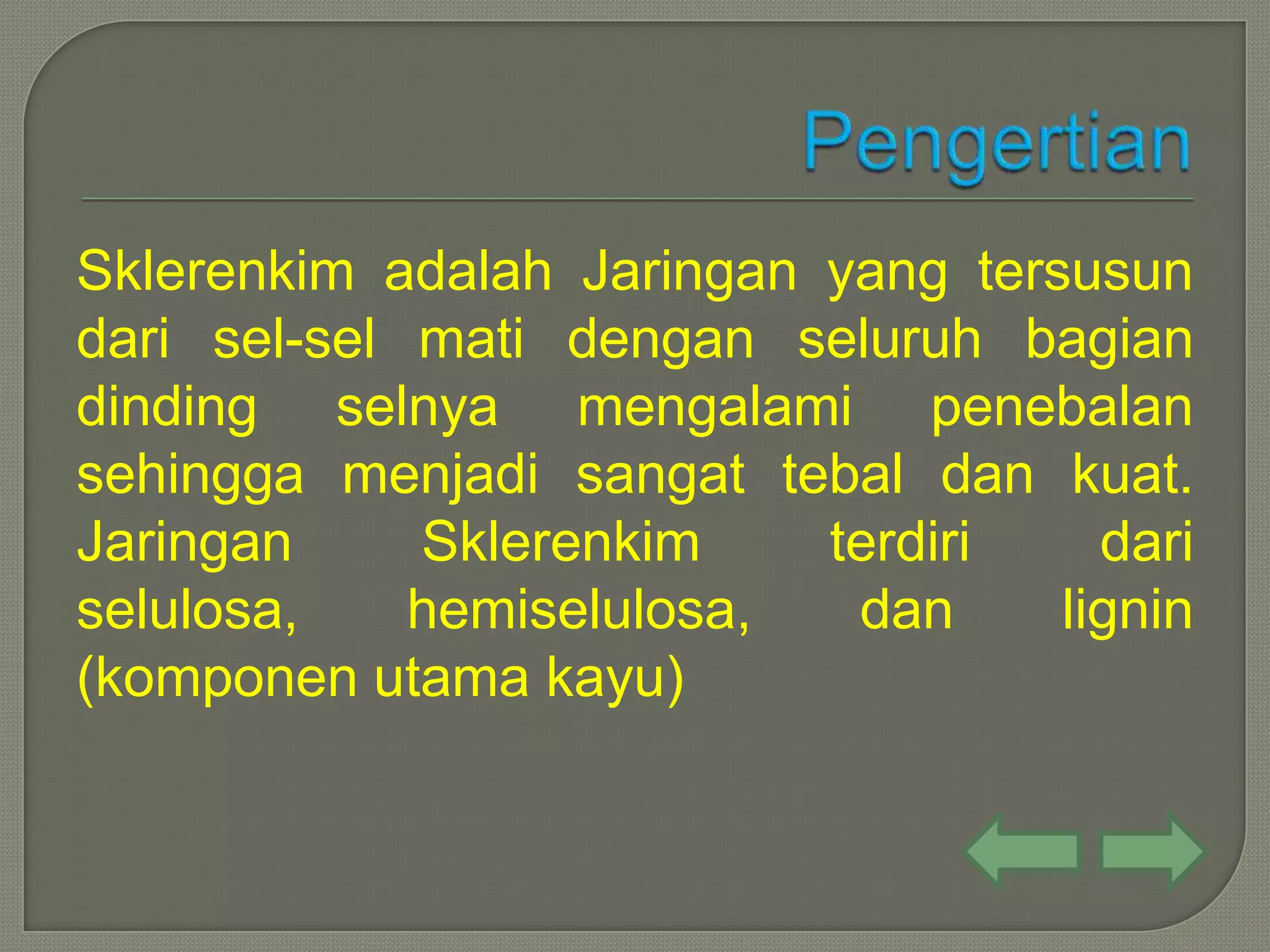 Jaringan sklerenkim | PPTX