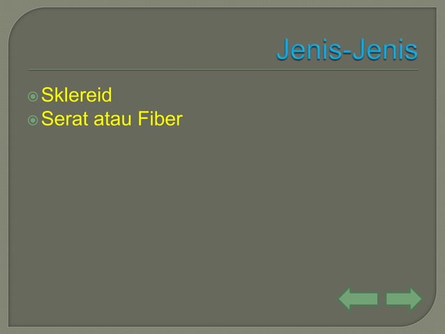 Jaringan sklerenkim | PPTX