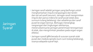 Jaringan syaraf | PPTX