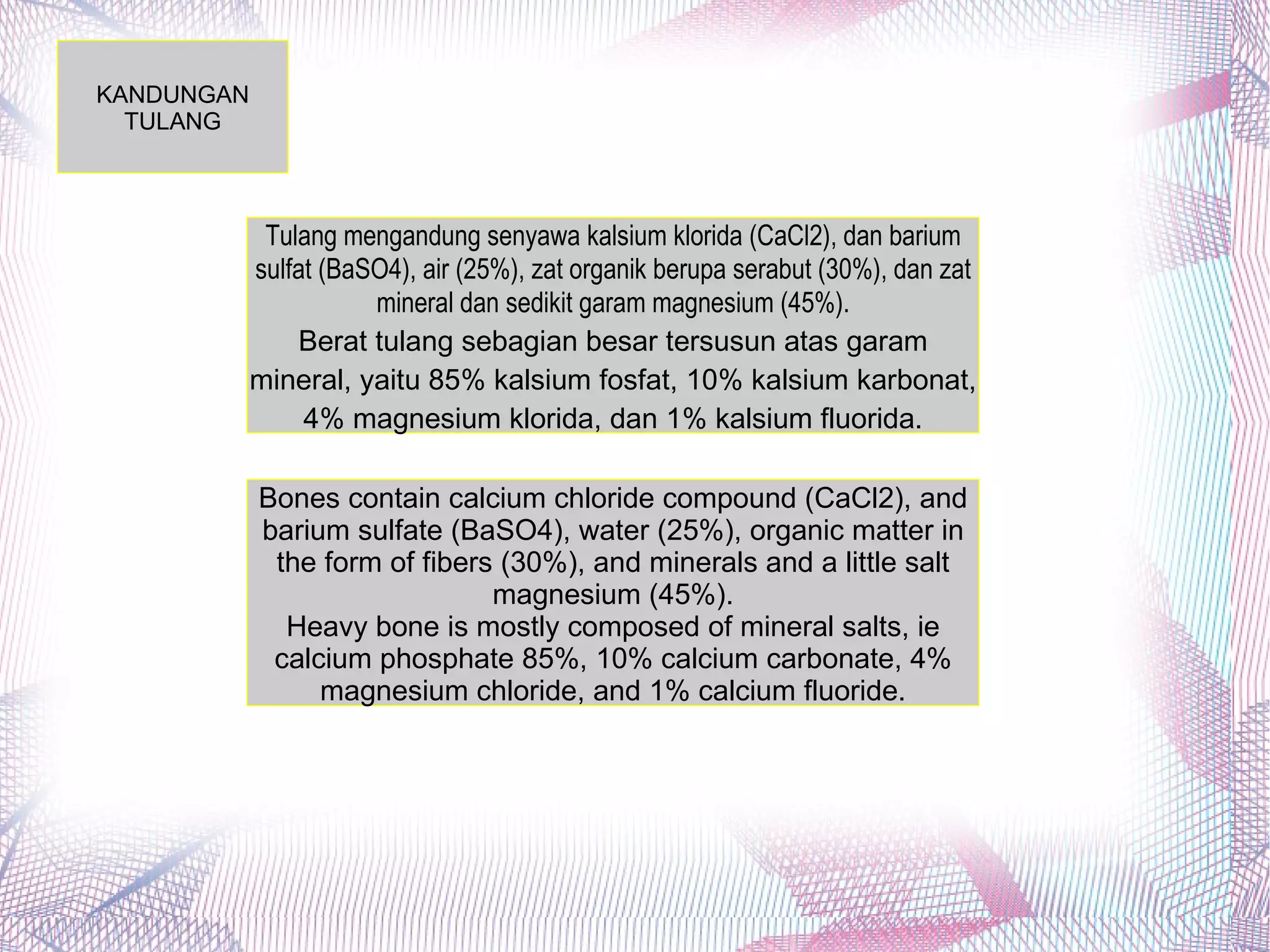 Jaringan tulang | PPT