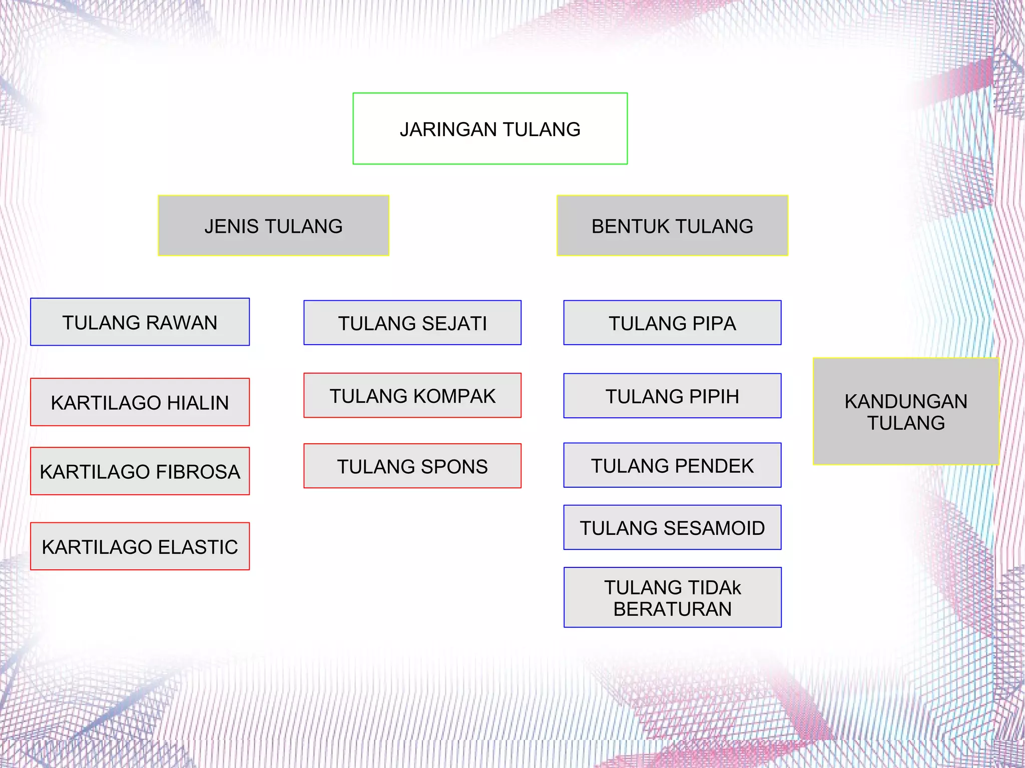 Jaringan tulang | PPT