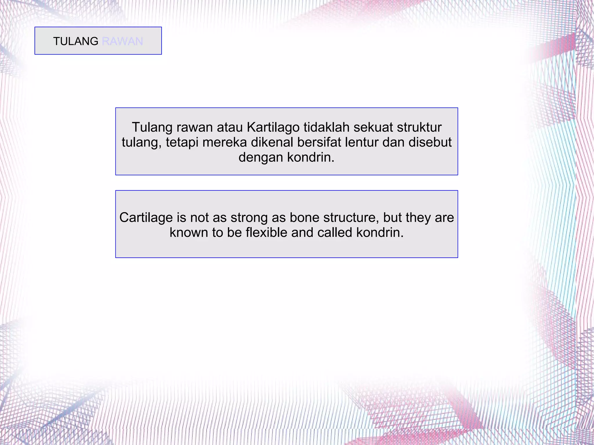 Jaringan tulang | PPT