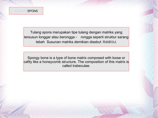 Jaringan tulang | PPT