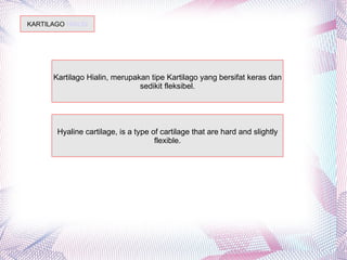 Jaringan tulang | PPT