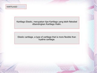 Jaringan tulang | PPT