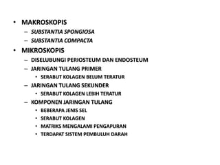 Jaringan tulang | PPTX