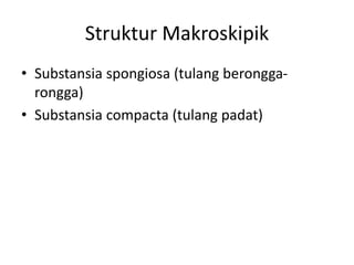 Jaringan tulang | PPTX