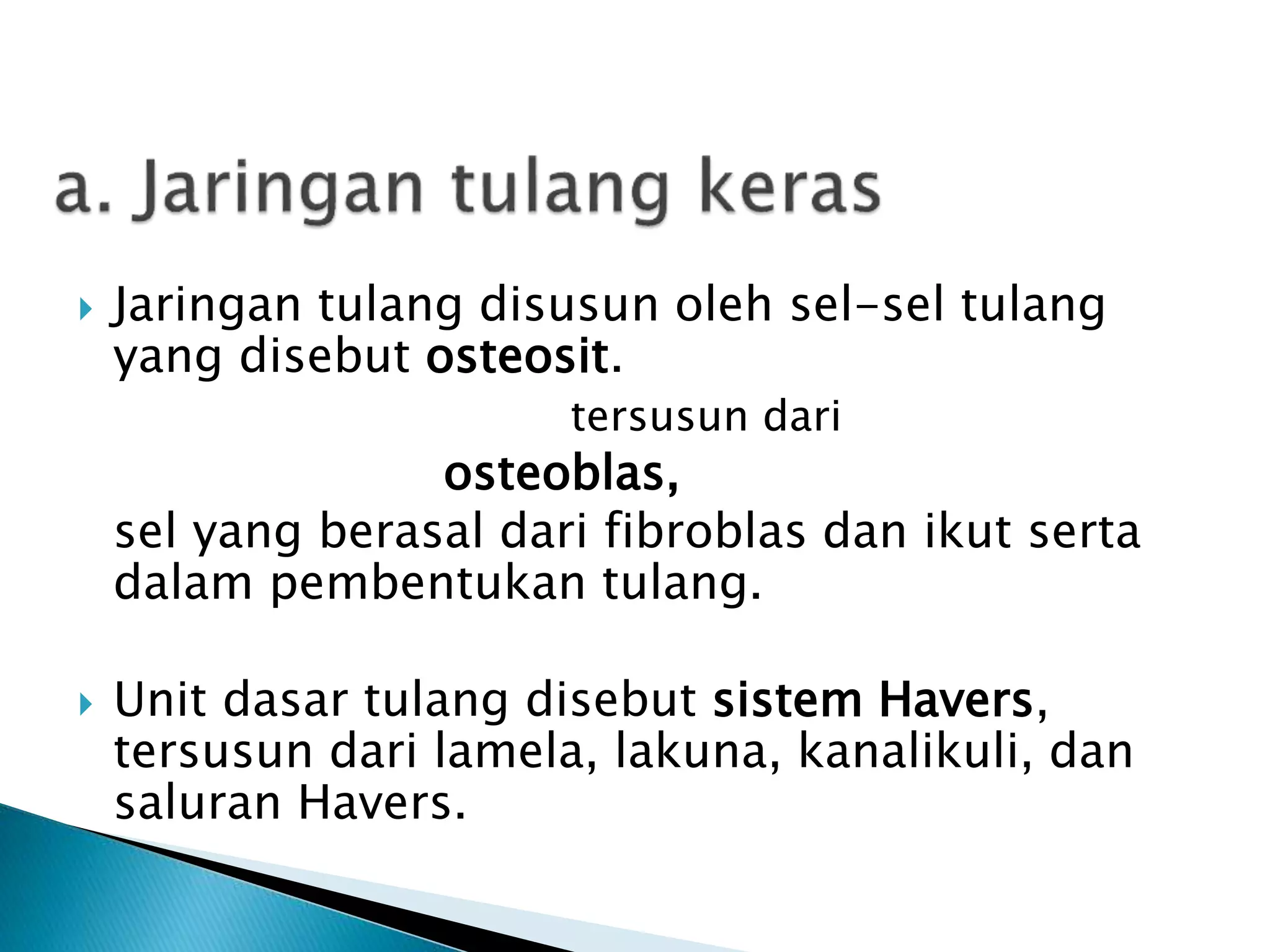 Jaringan tulang sejati | PPTX