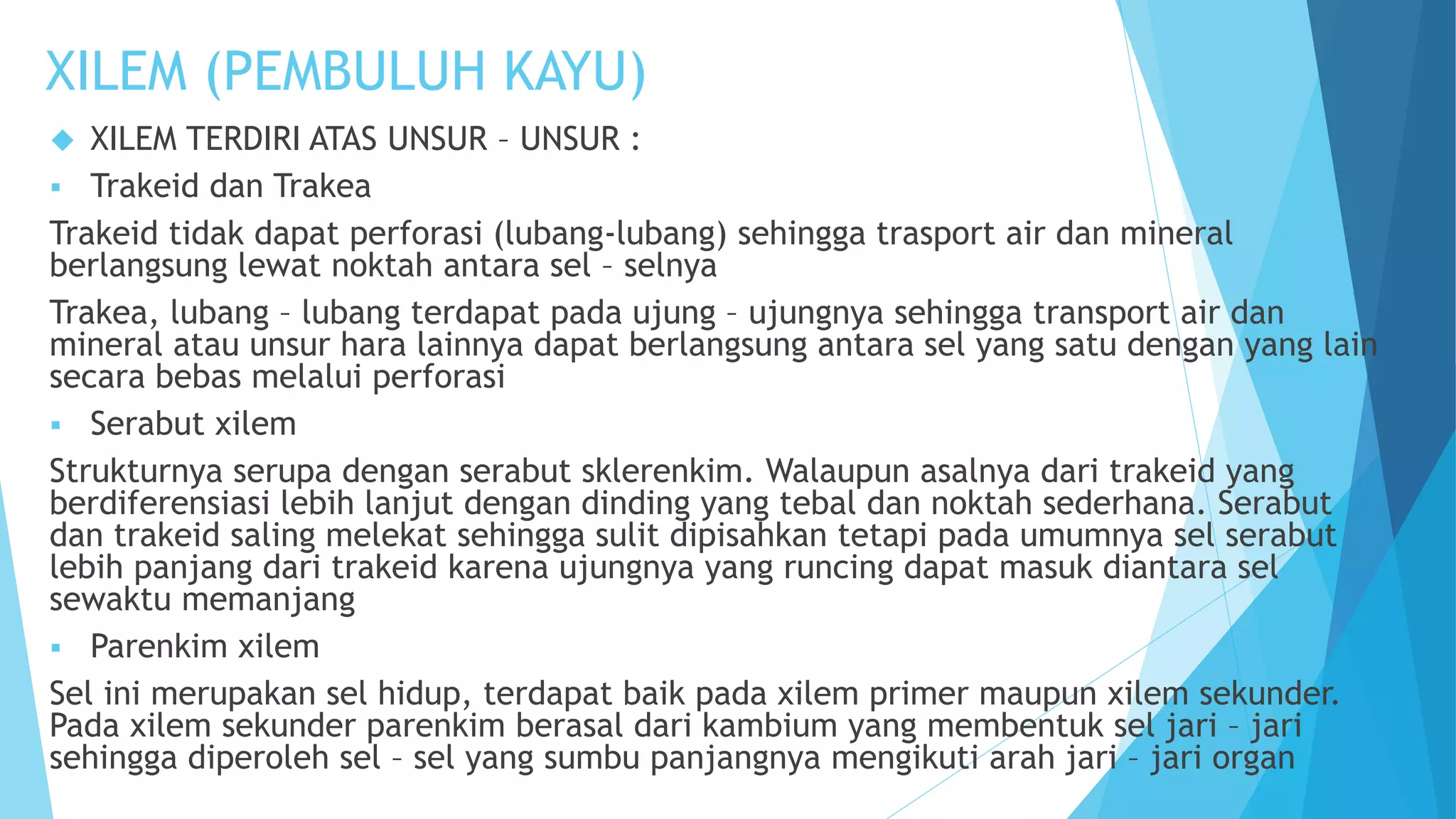 Jaringan Tumbuhan | PPTX