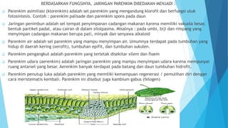 Jaringan Tumbuhan | PPTX