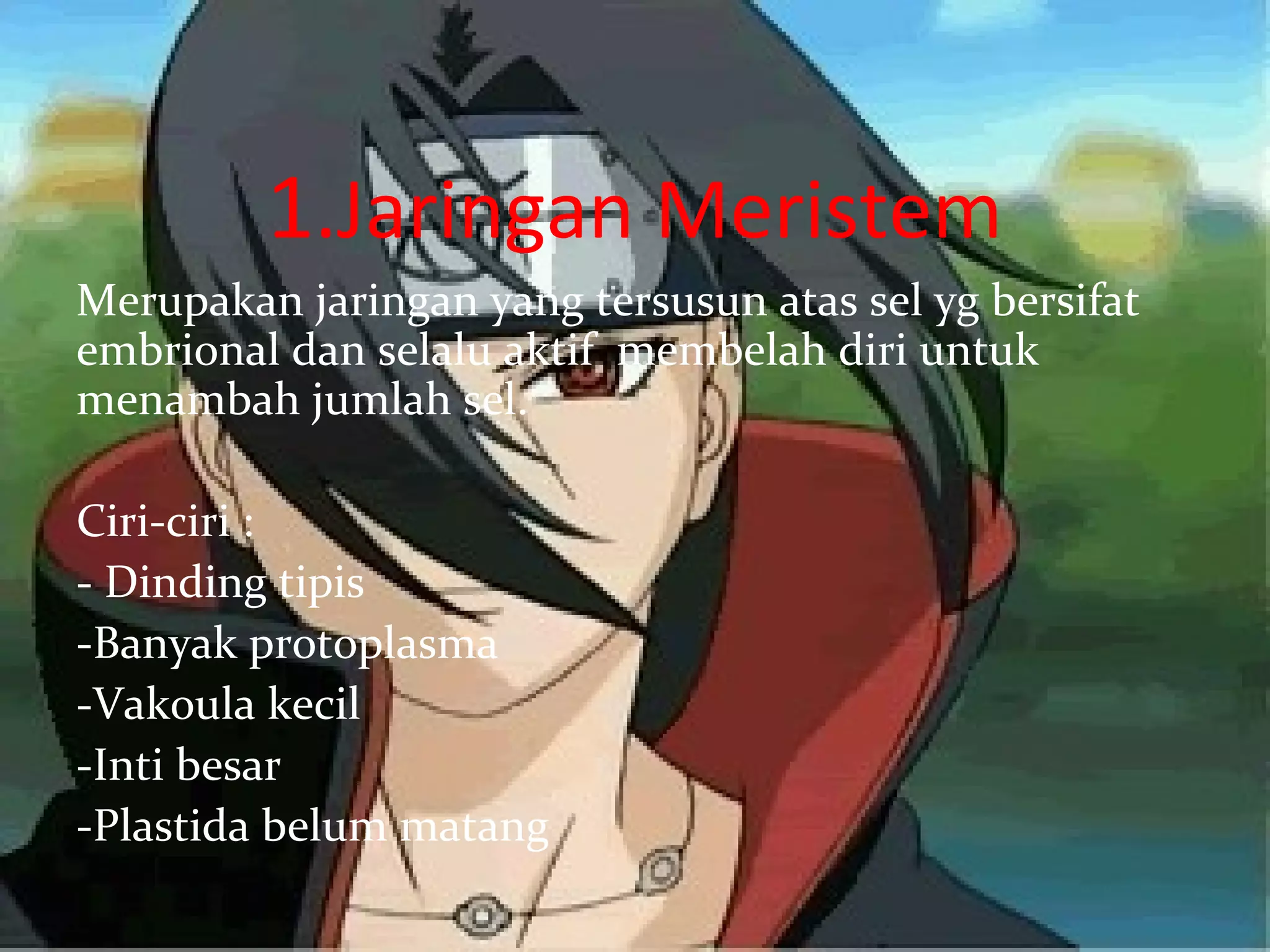 Jaringan tumbuhan | PPT