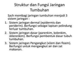 Jaringan tumbuhan | PPTX