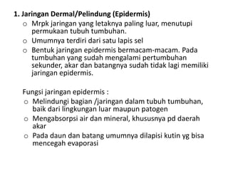 Jaringan tumbuhan | PPTX