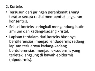 Jaringan tumbuhan | PPTX