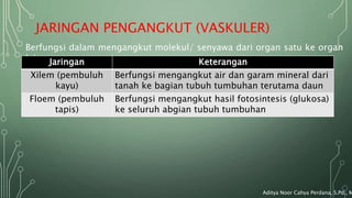 Jaringan Tumbuhan | PPTX