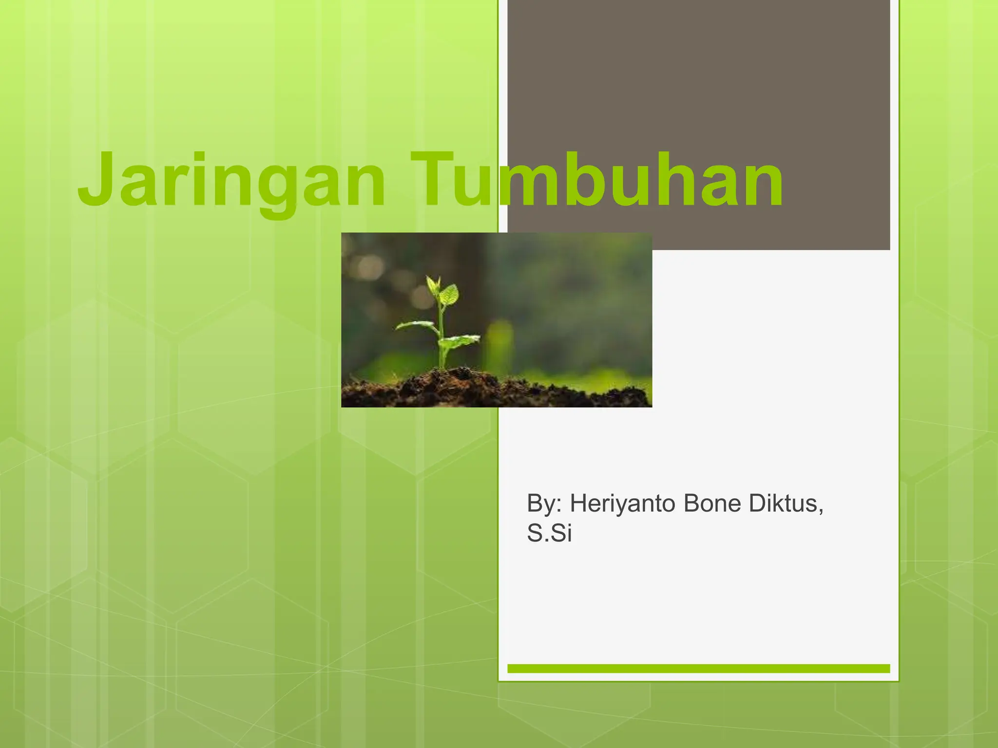 Jaringan Tumbuhan dikotil dan monokotil.pptx