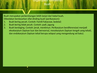 sel jaringan tumbuhan dan organ pada tumbuhan | PPT