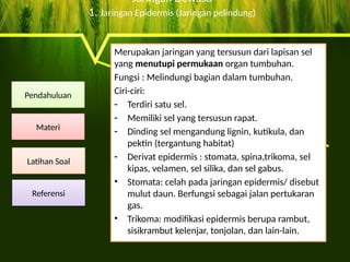 sel jaringan tumbuhan dan organ pada tumbuhan | PPTX