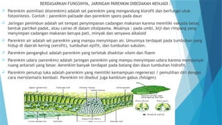Sel Serta Jaringan yang ada pada Tumbuhan | PPTX