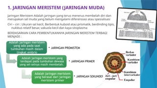 Sel Serta Jaringan yang ada pada Tumbuhan | PPTX