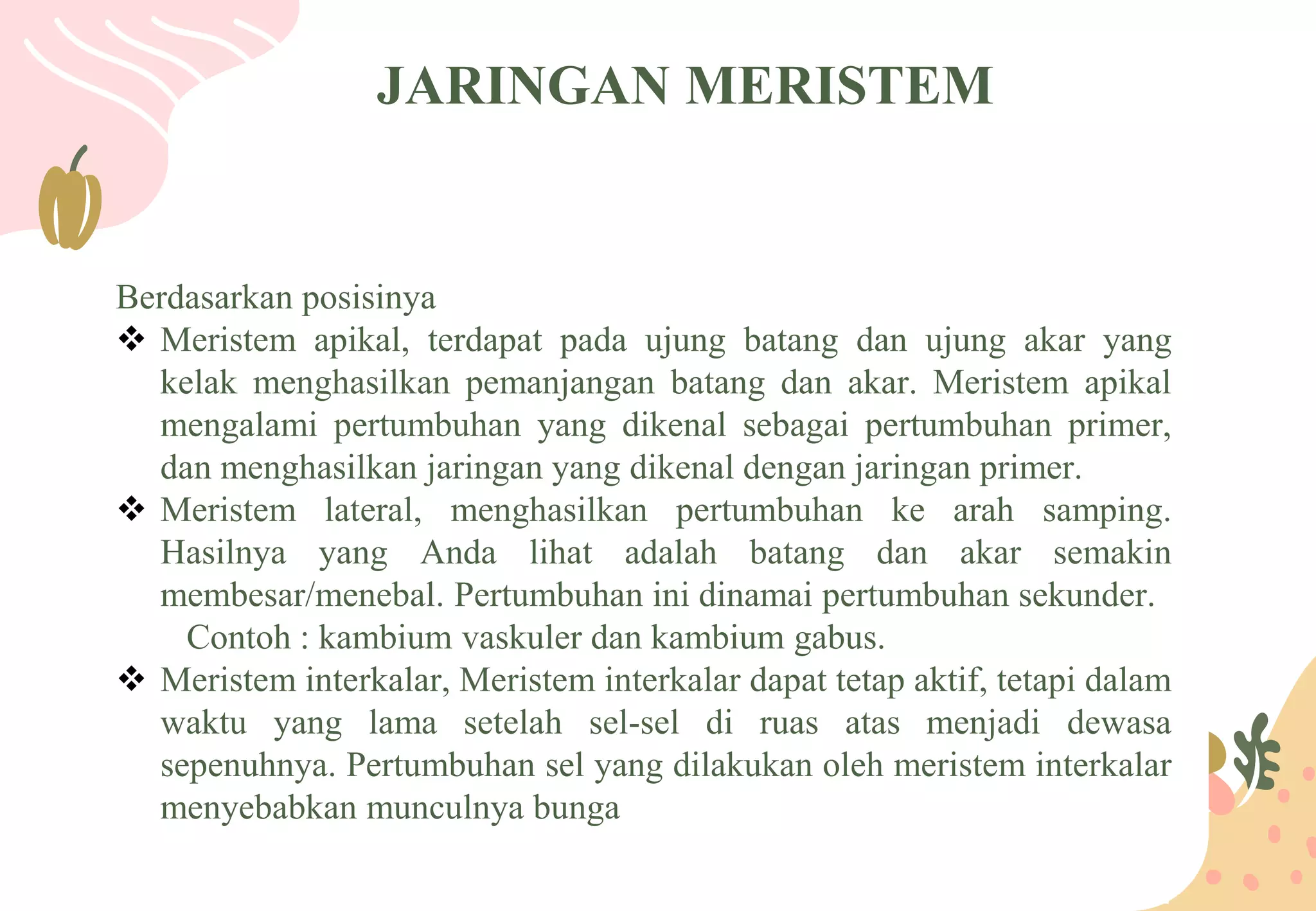 JARINGAN TUMBUHAN - KELAS XI.pptx