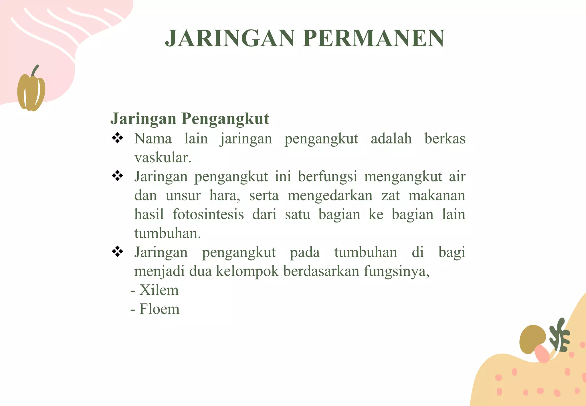 JARINGAN TUMBUHAN - KELAS XI.pptx