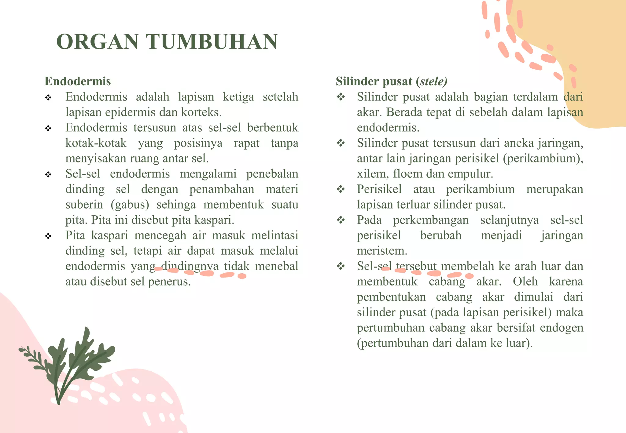 JARINGAN TUMBUHAN - KELAS XI.pptx