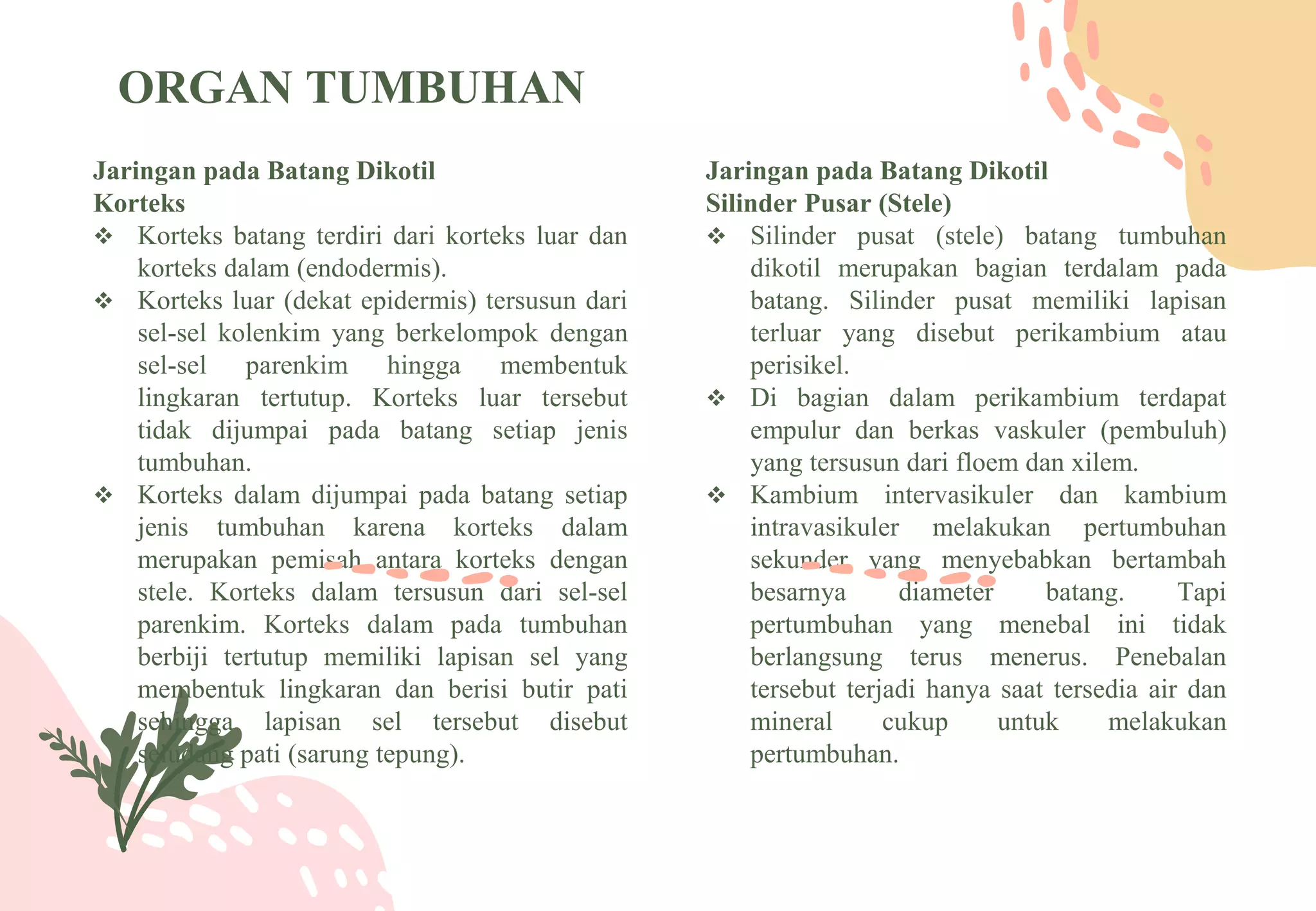 JARINGAN TUMBUHAN - KELAS XI.pptx