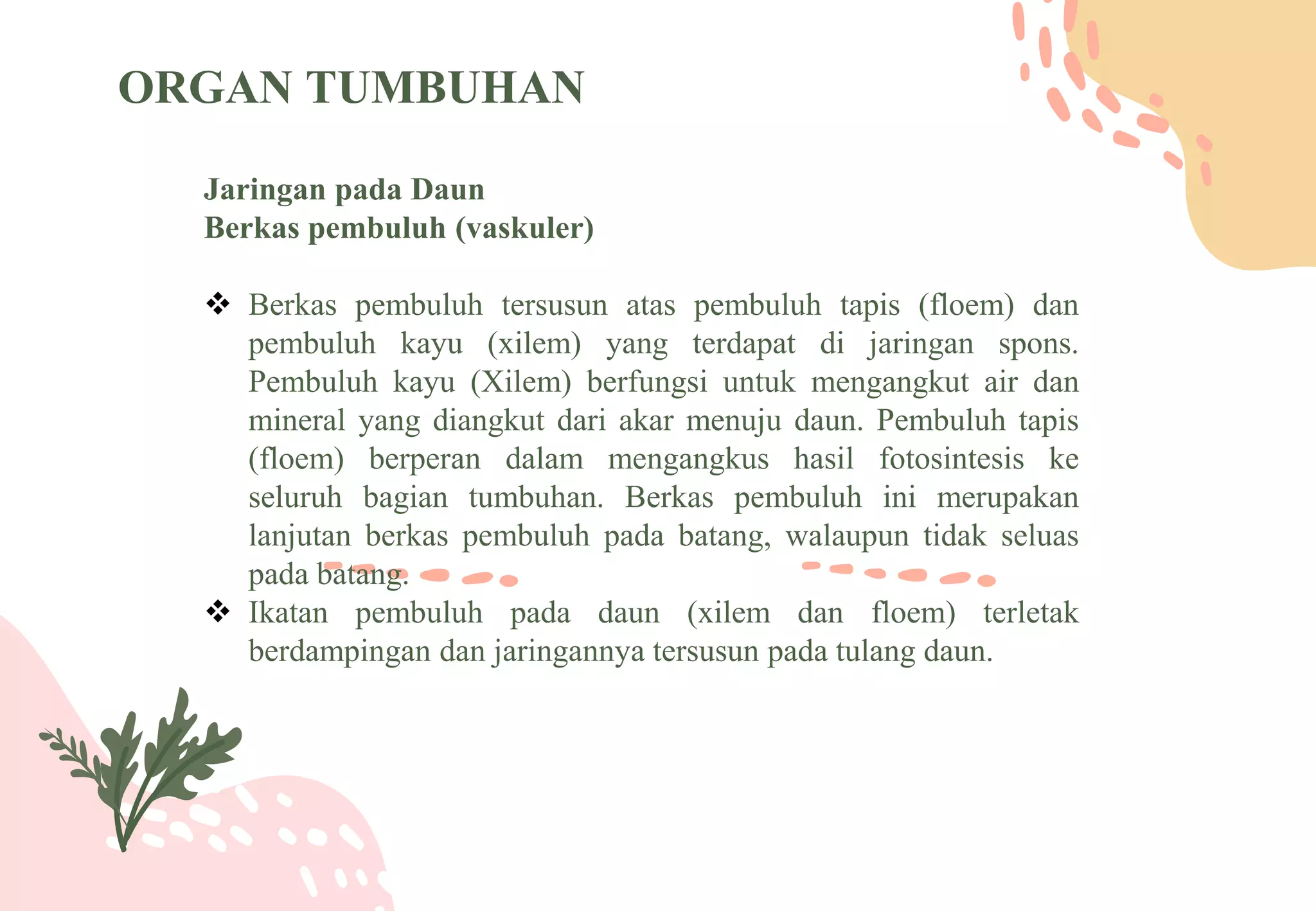 JARINGAN TUMBUHAN - KELAS XI.pptx