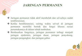 JARINGAN TUMBUHAN - KELAS XI.pptx
