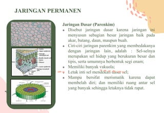 JARINGAN TUMBUHAN - KELAS XI.pptx