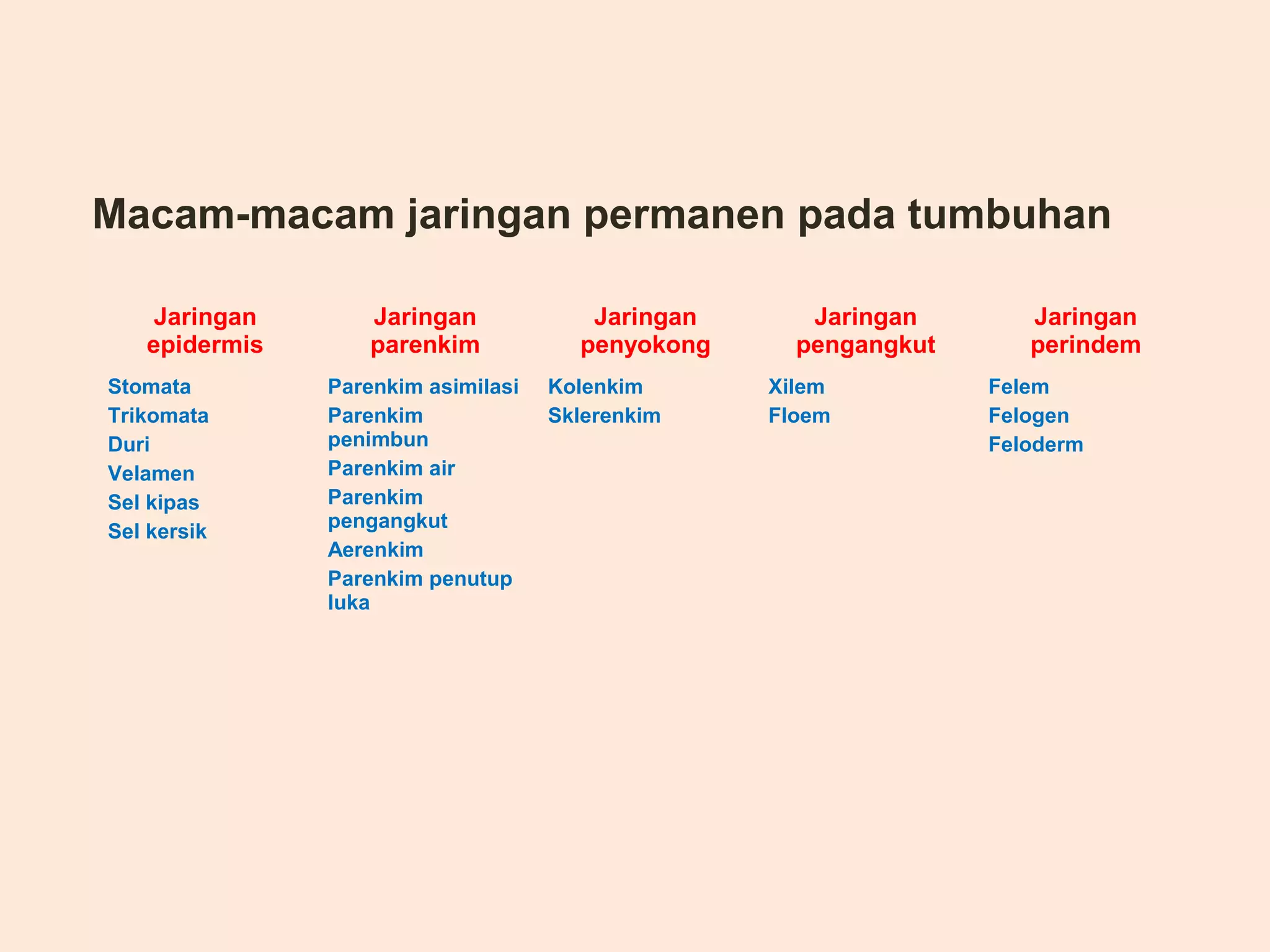 Bab 2 Jaringan Tumbuhan | PPT