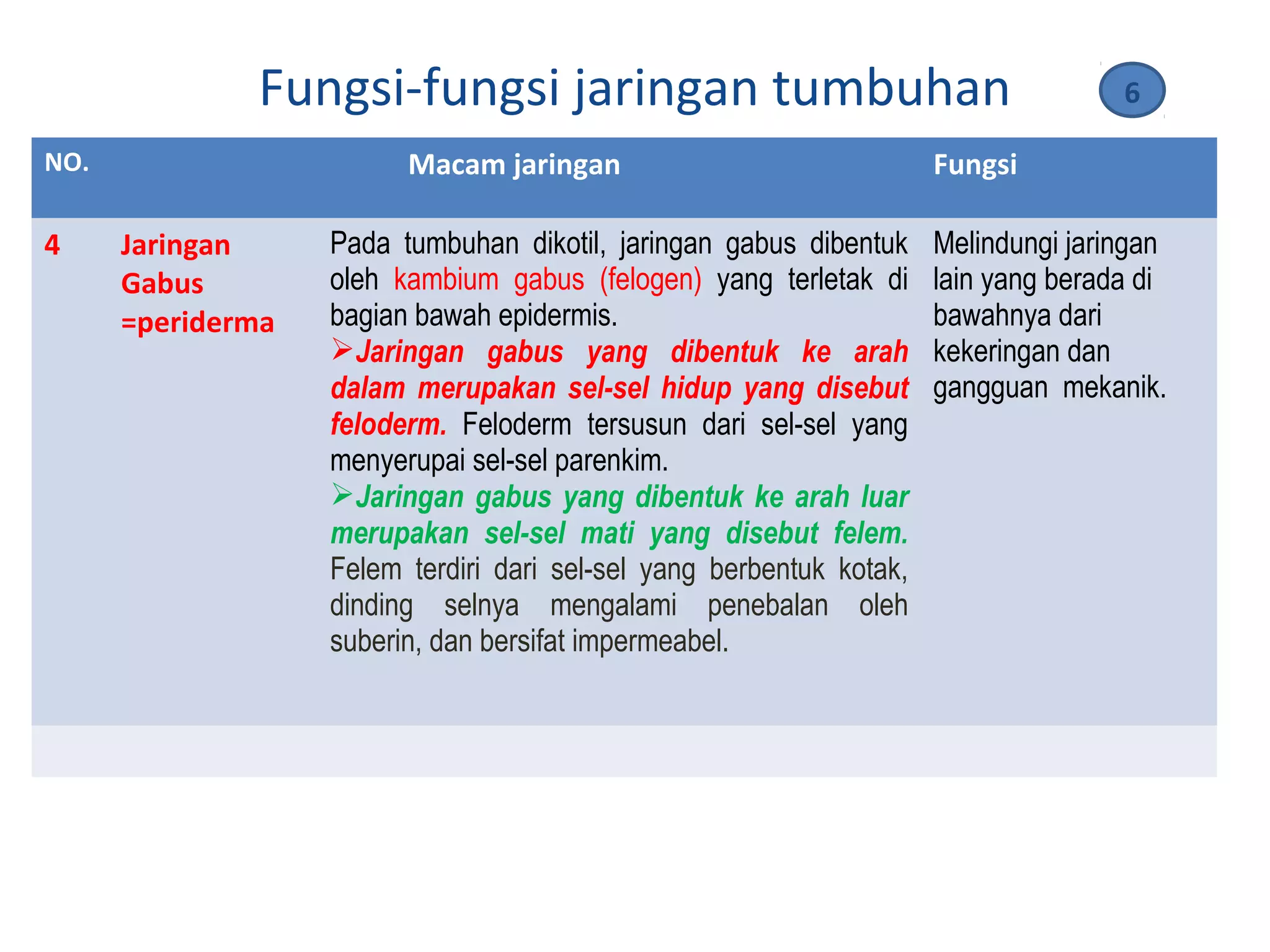Bab 2 Jaringan Tumbuhan | PPT