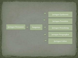 JARINGAN_TUMBUHAN_dan_HEWAN.pptx