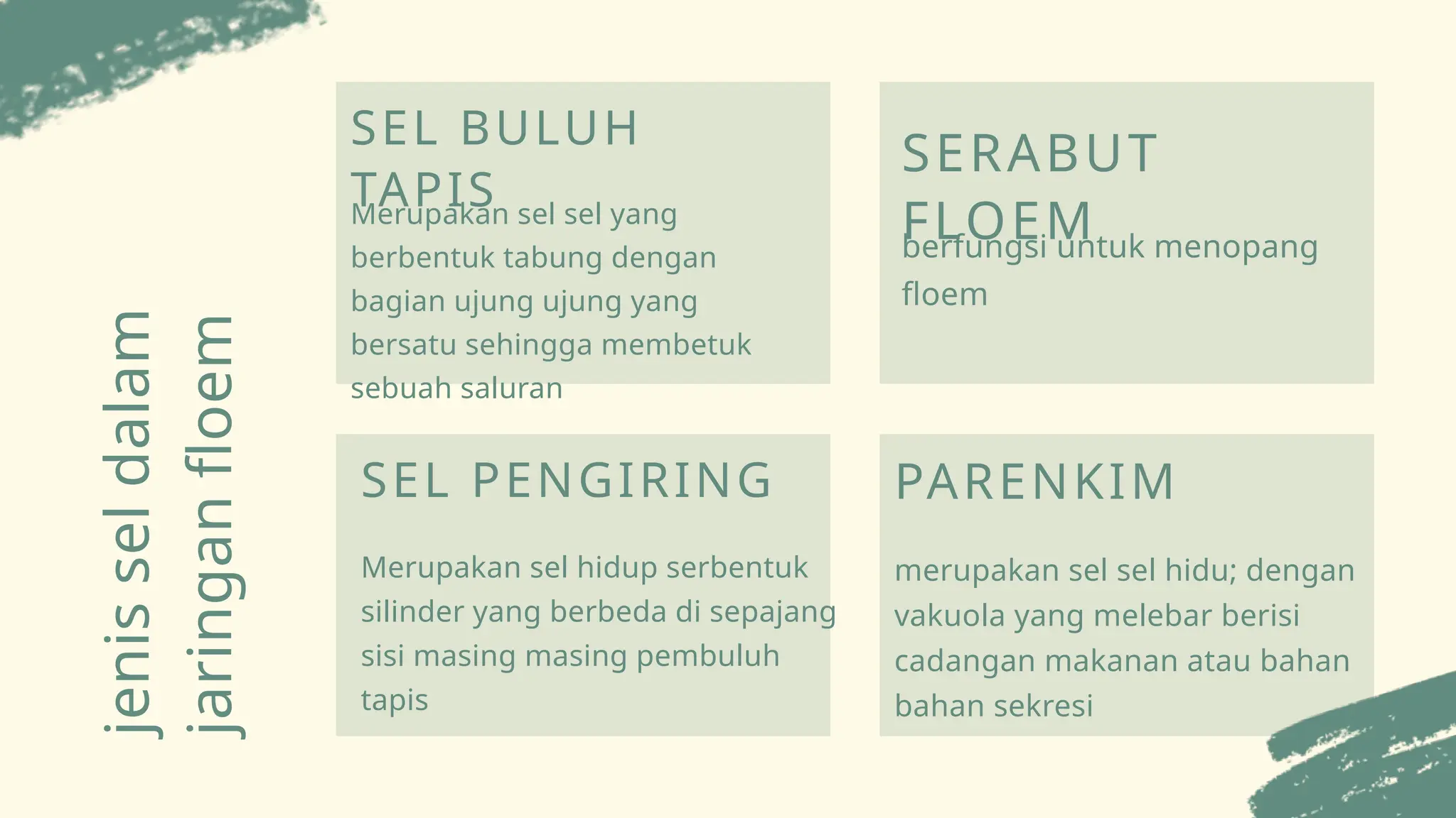 Jaringan Tumbuhan smp kelas VIII kurikulum Merdeka | PPTX