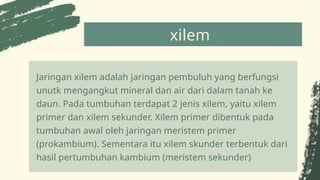 Jaringan Tumbuhan smp kelas VIII kurikulum Merdeka | PPTX