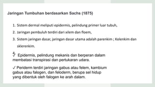 Power Point Jaringan Pada Tumbuhan atau tanaman | PPTX