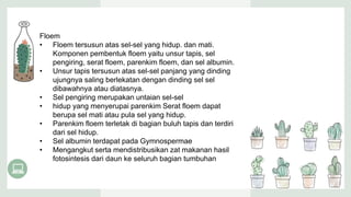 Power Point Jaringan Pada Tumbuhan atau tanaman | PPT